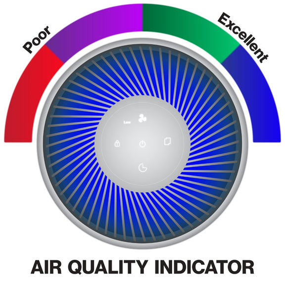 Oval Air Compact – OVAL AIR