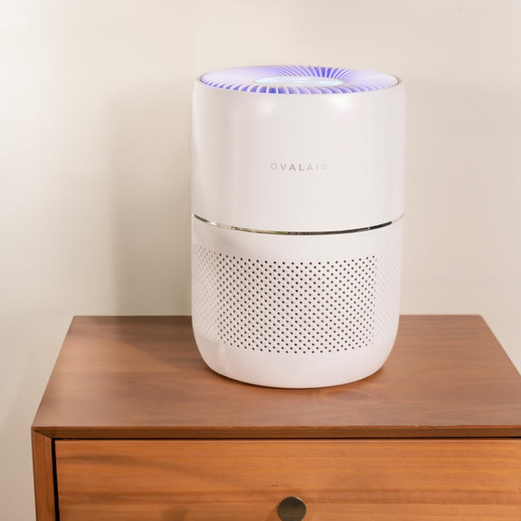 Oval Air Compact – OVAL AIR